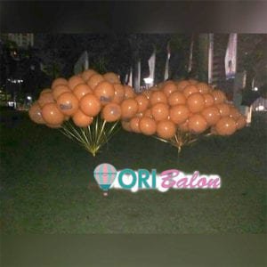 Jual Balon Gas Helium & Hidrogen Pelepasan Murah | Rini Balon
